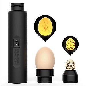 zjchao LED Egg Candler Light, High Intensity Bright Cool Light Monitoring Eggs Development Flashlight for Chickens Ducks Birds Eggs