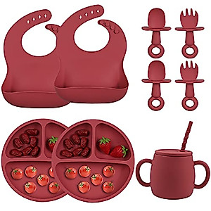 Baby Feeding Supplies - Led Weaning Silicone Baby Feeding Set, Baby Plates with Suction, Toddler Sippy Cups, First Stage Self Feeding Utensils Dishes Set with Bibs, Baby Spoons and Forks, 9 Pieces