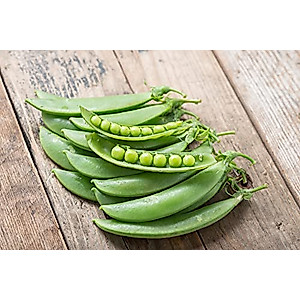 Sugar Ann Snap Pea Garden Seeds, 50+ Heirloom Seeds Per Packet, (Isla's Garden Seeds), Non GMO Seeds, Botanical Name: Pisum sativum