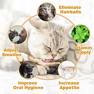 SINROBO Catnip Ball for Cats Wall, 4 Pack, Silvervine Balls, Edible Toys, Lick Safe Healthy Kitten Chew & Teeth Cleaning Dental Toys, Wall Treats (Grey)