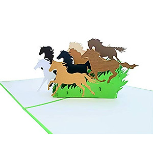 iGifts And Cards Inspirational Wild Horses 3D Pop Up Greeting Card - Majestic, Colt, Pony, Mustang, Stallion, Half-Fold, Happy Birthday, Retirement, Just Because, New Business Adventure, All Occasion