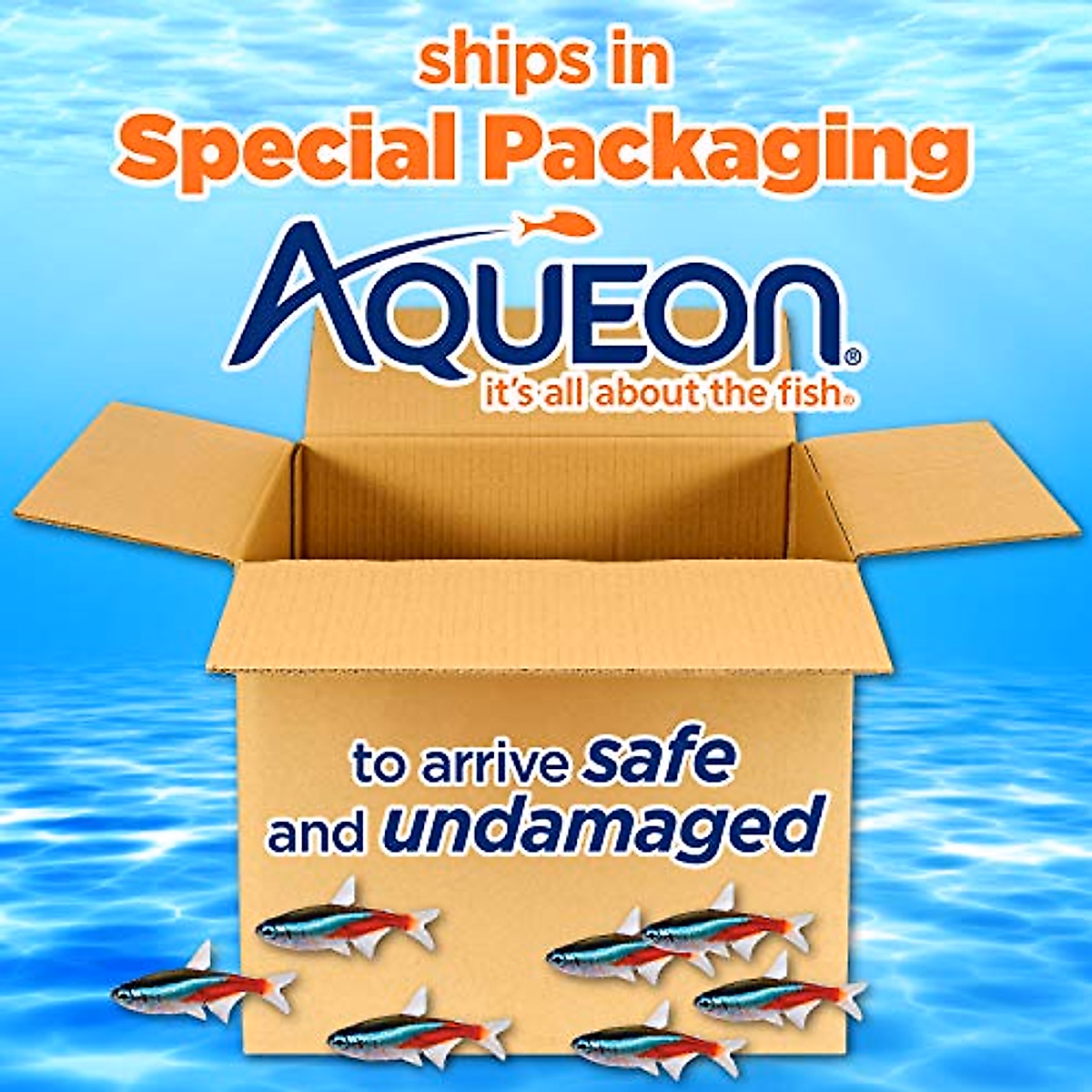 Aqueon LED MiniBow Aquarium Kit with SmartClean Technology, White, 2.5 Gallon