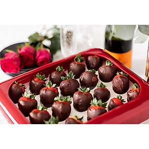 Fancy Panz Deviled Egg Trayz Insert for use with Fancy Panz Classic, Premium & 2in1. Holds 20 eggs