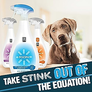 Pooph Pet Odor Eliminator, 32oz Spray - Dismantles Odors on a Molecular Basis, Dogs, Cats, Freshener, Urine, Poop, Pee, Deodorizer, Natures, Puppy, Fresh, Clean, Furniture, Potty, Safe