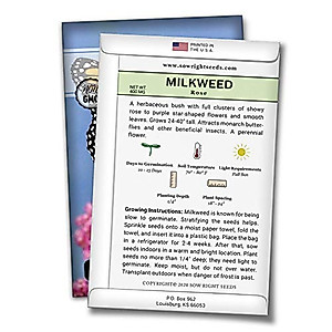 Sow Right Seeds - Rose Milkweed Seeds - Attract Monarch Butterflies to Your Garden - Non-GMO Heirloom Seeds - Full Instructions for Planting - Wonderful Gardening Gift