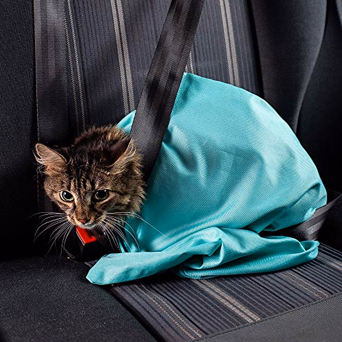 PURRFECT POUCH The Original AS SEEN ON TV. Comfy Soothing Cat Carrier