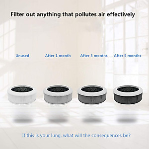 QUEENTY True HEPA Filter - Replacement Air Purifier Filter for QUEENTY F006 Car Air Purifier