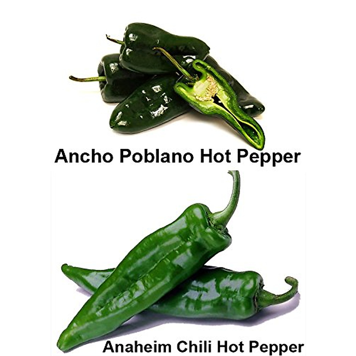 PLEASE READ! THIS IS A MIX!!! 30+ Hot Pepper Mix Seeds, 16 Varieties Heirloom NON-GMO Habanero, Tabasco, Jalapeno, Yellow and Red Scotch Bonnet, Ships from USA! US Grown.