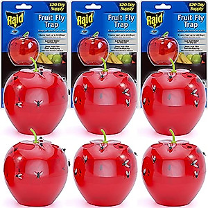 Raid Fruit Fly Trap Bundle, Set of 3 2-Pack Apple Fruit Fly Catcher Indoor Trap, 360-Day Supply of Fruit Fly Traps for Kitchen & Dining Areas, Reusable Gnat Traps w/Food-Based Lure for Fruit Flies