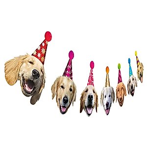 Golden Retriever Birthday Garland, Dog Face Portrait Birthday Banner, Bday Bunting Decoration…