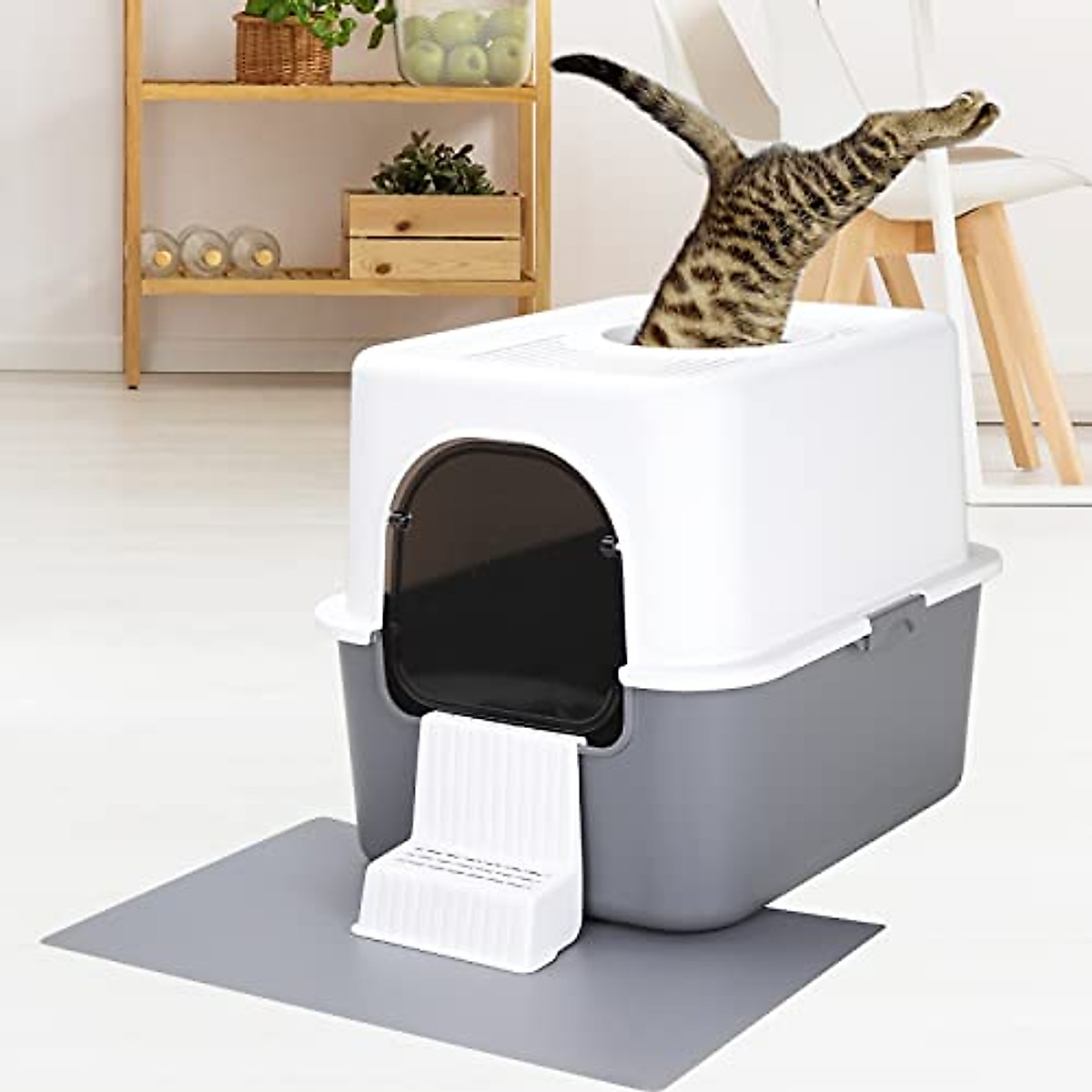 RIZZARI Cat Litter Box with Lid, Increased Entrance Height, Top Entry Enclosed Litter Box with Door, Easy to Install, Suitable for Cats up to 7.5 lbs (Gray,Small)
