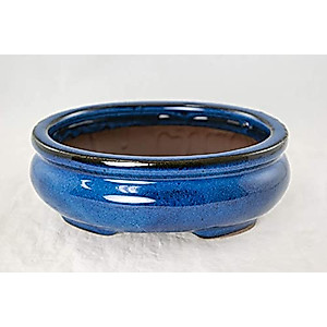 6" Oval Dark Blue Mame Shohin Bonsai/Succulent Pot + Tray + Rock + Mesh Combo