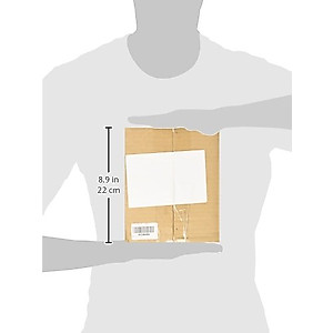 Davidson's Organics, Tulsi Spicy Green, 25-count Tea Bags, Pack of 6