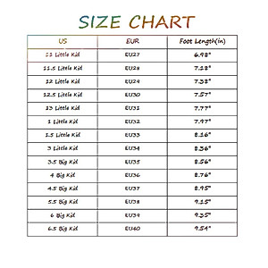 Ehauuo Kids Two Wheels Shoes with Lights Rechargeable Roller Skates Shoes Retractable Wheels Shoes LED Flashing Sneakers