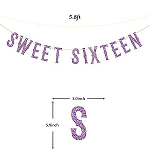 Purple Glitter Sweet Sixteen Banner, Hello 16 / I'm 16 Bitches/Sweet 16 Party Decorations, 16th Birthday Party Decoration Supplies Photo Props Bunting Sign