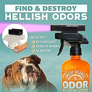 ANGRY ORANGE UV Flashlight - LED Black Light Detector for Dry Dog Urine - Flashlights Make Stains Glow in The Dark with Ultraviolet Blacklight