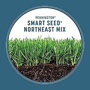 Pennington Smart Seed Northeast Grass Mix 3 lb