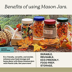 JARMING COLLECTIONS Mason Jars 16 oz with Plastic Lids (BPA Free) Pint Mason Jars Wide Mouth (set of 2)