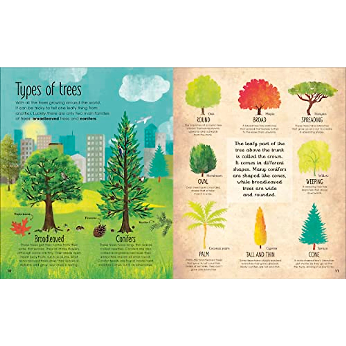 The Magic and Mystery of Trees (The Magic and Mystery of the Natural World)