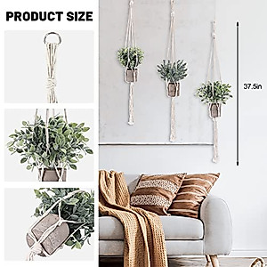 CEWOR Fake Hanging Plants 3 Pack Artificial Plants with 3 Macrame Plant Hangers Mini Potted Fake Plants Faux Plastic Eucalyptus Rosemary Plants for Home Office Bathroom Kitchen Farmhouse Room Decor