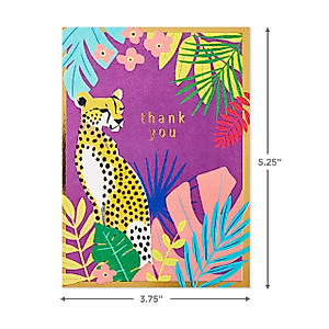 Hallmark Thank You Cards Assortment, Tropical Animals (24 Assorted Thank You Notes with Envelopes—Cheetahs, Llamas, Zebras, Flamingos, Birds)