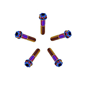 RISON Titanium Bolts M10*1.25 * 35 Torx Titanium Bolts for Motorcycles Hex Head Dual Drive Burnt Blue Titanium Flange Bolt Pack of 5