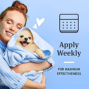 PetArmor Flea & Tick Protection Oatmeal Shampoo for Dogs, Hawaiian Ginger Scent, 18 oz