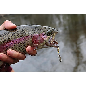 RoxStar Fly Strikers Proven Nationwide to Out-Fish Any Spinner | Hand-Tied in The USA | Most Versatile Fishing Spinner Ever! Trout, Bass, Steelhead (1/8oz S1)