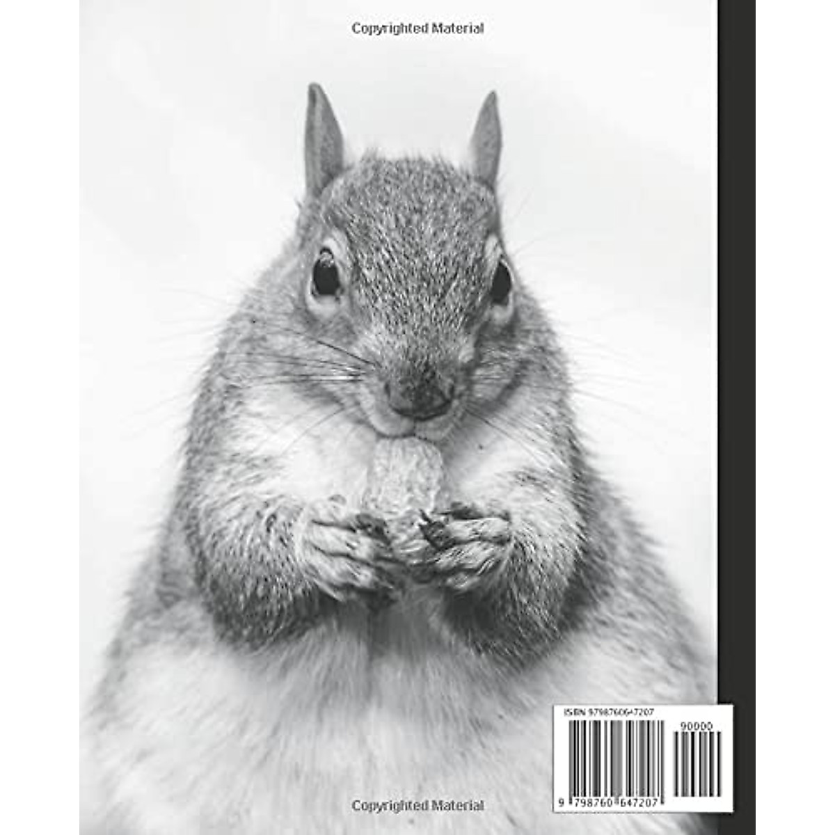 Squirrel Composition Notebook: Cute Squirrel Wide Ruled Composition Notebook 110 Pages. A Workbook For Kids, Teens, Students And Adults