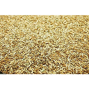 ProTurf Perennial Ryegrass Fine Lawn Seed by Eretz (8oz) - CHOOSE SIZE! Premium Willamette Valley, Oregon Grown Grass Seed