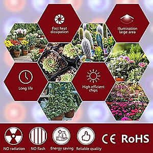 Juhefa Grow Light for Indoor Plants Growing, Red Blue Full Spectrum Gooseneck Sunlight Plant Lamp for Seedings Succulents Small Plants, Timer Function with 5-Level Brightness
