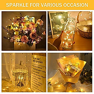 podiality Led Fairy Lights 12 Pack String Lights 7 Feet 20 Led for Bedroom Party Wedding Christmas Garden Decor