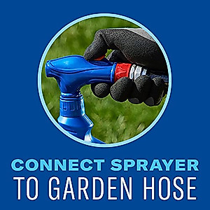 BioAdvanced All-In-One Rose & Flower Spray, Ready-to-Spray, 32 oz