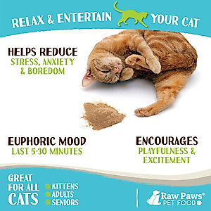 Raw Paws Silvervine Powder, 75 Grams - 2X More Attractive than Catnip for Cats, 100% Silver Vine Gall Fruit Powder, Matatabi Silvervine Cat Toy for Indoor Cats, Catnip Kitten Toys, Silvervine for Cats