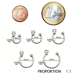 WARRIOR Piercing Horseshoe Surgical Steel 316L Circular/Curved Barbell 8 mm for Septum Earring Nose Body Piercing 16G(1.2mm) with Two 3mm Balls PYS-001