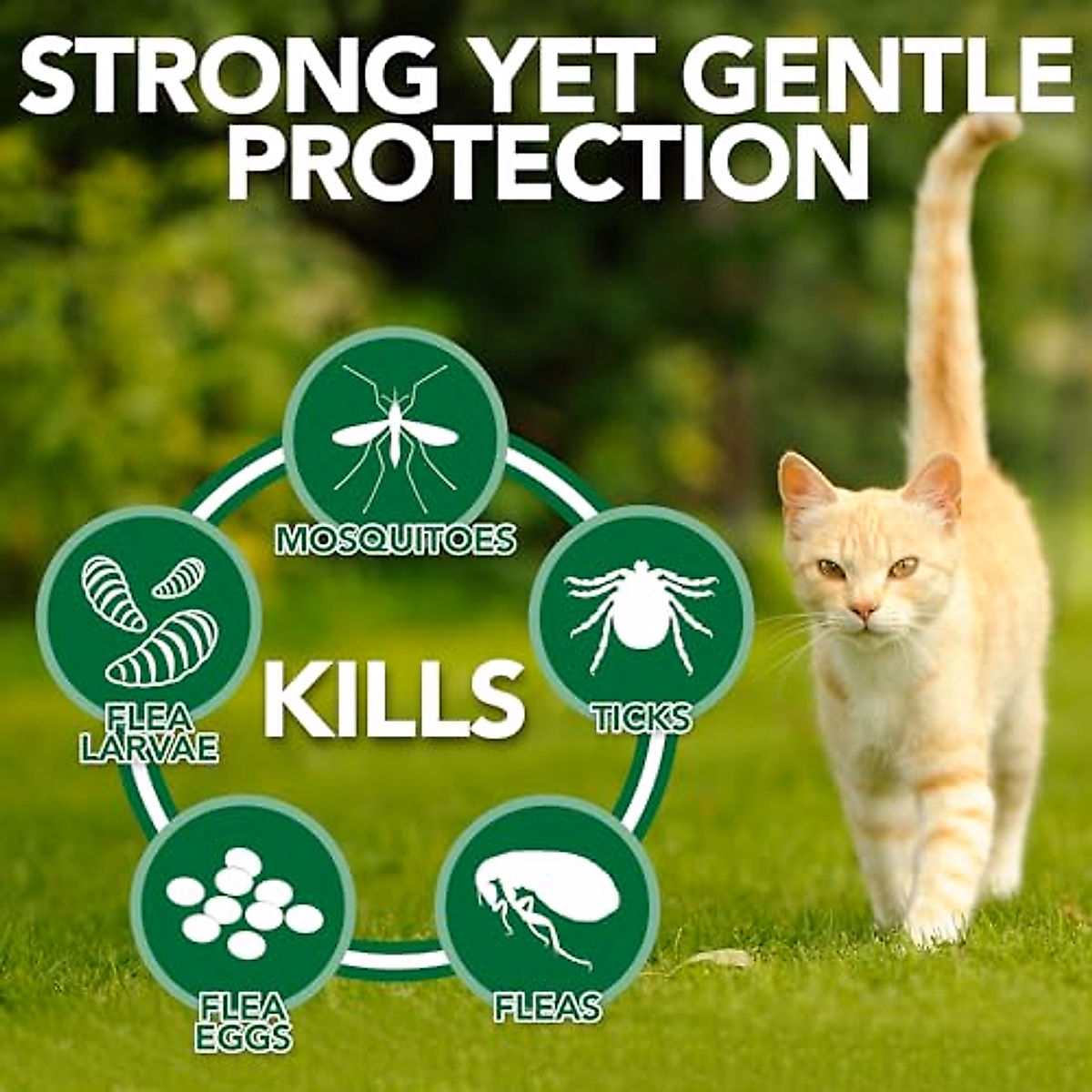 Vet's Best Flea and Tick Home Spray for Cats | Flea Treatment for Cats and Home | Plant-Based Formula | 96 Ounces Refill