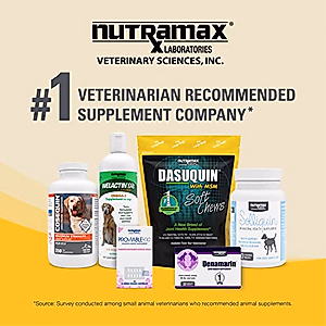 Nutramax Dasuquin with MSM Joint Health Supplement for Small to Medium Dogs - With Glucosamine, MSM, Chondroitin, ASU, Boswellia Serrata Extract, and Green Tea Extract, 84 Soft Chews