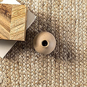 nuLOOM Tera Petals Braided Jute Area Rug, 4x6, Blue