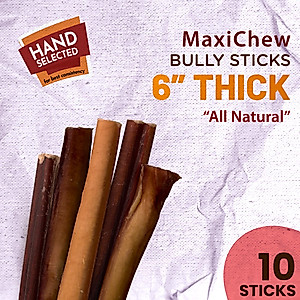 MaxiChew Odor-Free Bully Sticks(6 Inch, Pack of 10), Non-GMO, Fully Digestaible 100% Beef Pizzle Chews, Grain_Free, Grass-Fed, Best Dental Treat, Natural Long-Lasting, Premium Chews for Dogs