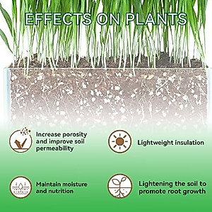 12QT Perlite for Plants, 3-6mm Horticultural Medium pearlight for Indoor & Outdoor, perilite Bulk Soil Amendment for Enhanced Drainage and Growth…