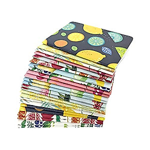 Alimitopia 24pcs Mini Notebook,Portable Pocket Journal Steno Memo Notebook MiniDaily NotePad (Fruit Patterns (24pcs))