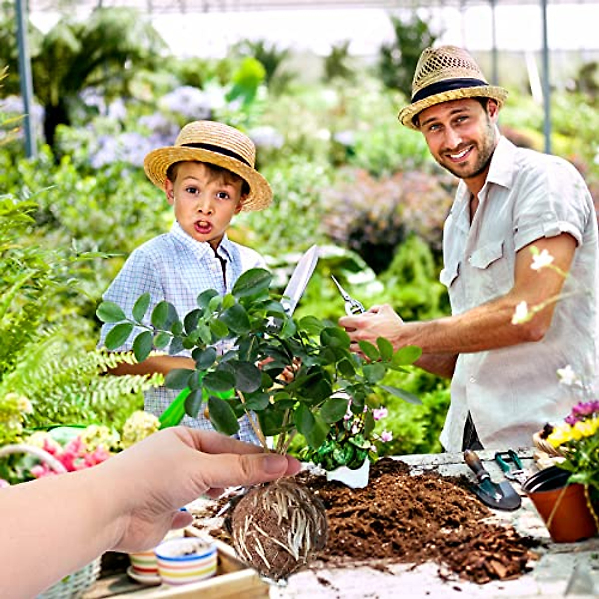 QHC KOCK Tree Root Growing Box,10 Pack Rooting Ball Grafting Tools,Sprouts Growing Kit Reusable High Pressure Tree Rooter Air Plant Layering Propagation Pot Rooting Device for Plant Cutting Seedings