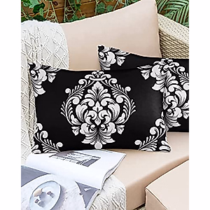 Outdoor Pillow Covers Waterproof, Black Paisley All Weather Cushion Case Set of 2, Luxurious Modern White Abstract Art Aesthetics Lumbar Pillowcase for Sofa Couch Bed Decor Patio Furniture 20"x12"