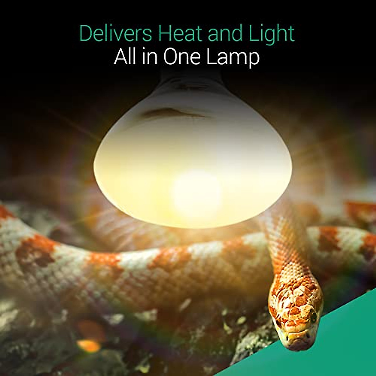 BlueX 80-Watt Reptile UVA UVB Sun Lamp - All-in-One Bulb Self-Ballasted Mercury Vapor Basking Light Heat Lamp Bulbs - Replicates Natural Sunlight Beneficial to Reptiles Amphibians Lizards Tortoises