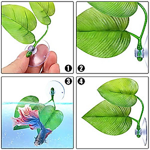 4 Pieces Betta Bed Leaf Hammock for Betta Fish, Lightweight and Realistic Resting Spot, No BPA, Practical, Comfortable and Safe (Double Leaf)