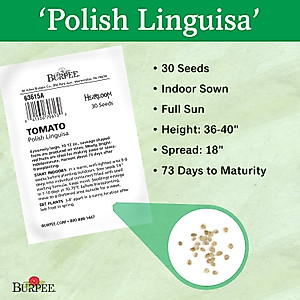 Burpee 'Polish Linguisa', Large Red Sauce & Paste Tomato, 30 Non-GMO Seeds