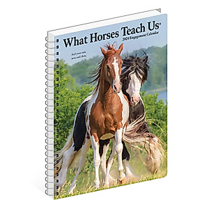 Willow Creek Press What Horses Teach Us Softcover Weekly Planner 2024 Spiral-Bound Engagement Calendar (6.5" x 8.5")