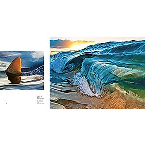 Clark Little: The Art of Waves