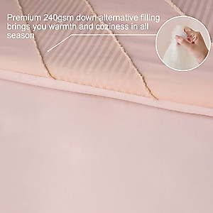 Whale Flotilla Boho Tufted Queen Comforter Set, Soft Lightweight Pink Comforter Queen Size with 2 Pillow Shams, Reversible Fluffy Shabby Chic Bedding Sets for All Seasons, 90 x90 inch