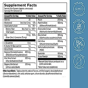 Designs for Health GI Revive Gut Health Powder - L Glutamine & Citrus Pectin for Digestive Health + Slippery Elm, Marshmallow Root & Cat's Claw for Healthy Intestinal Function (28 Servings)